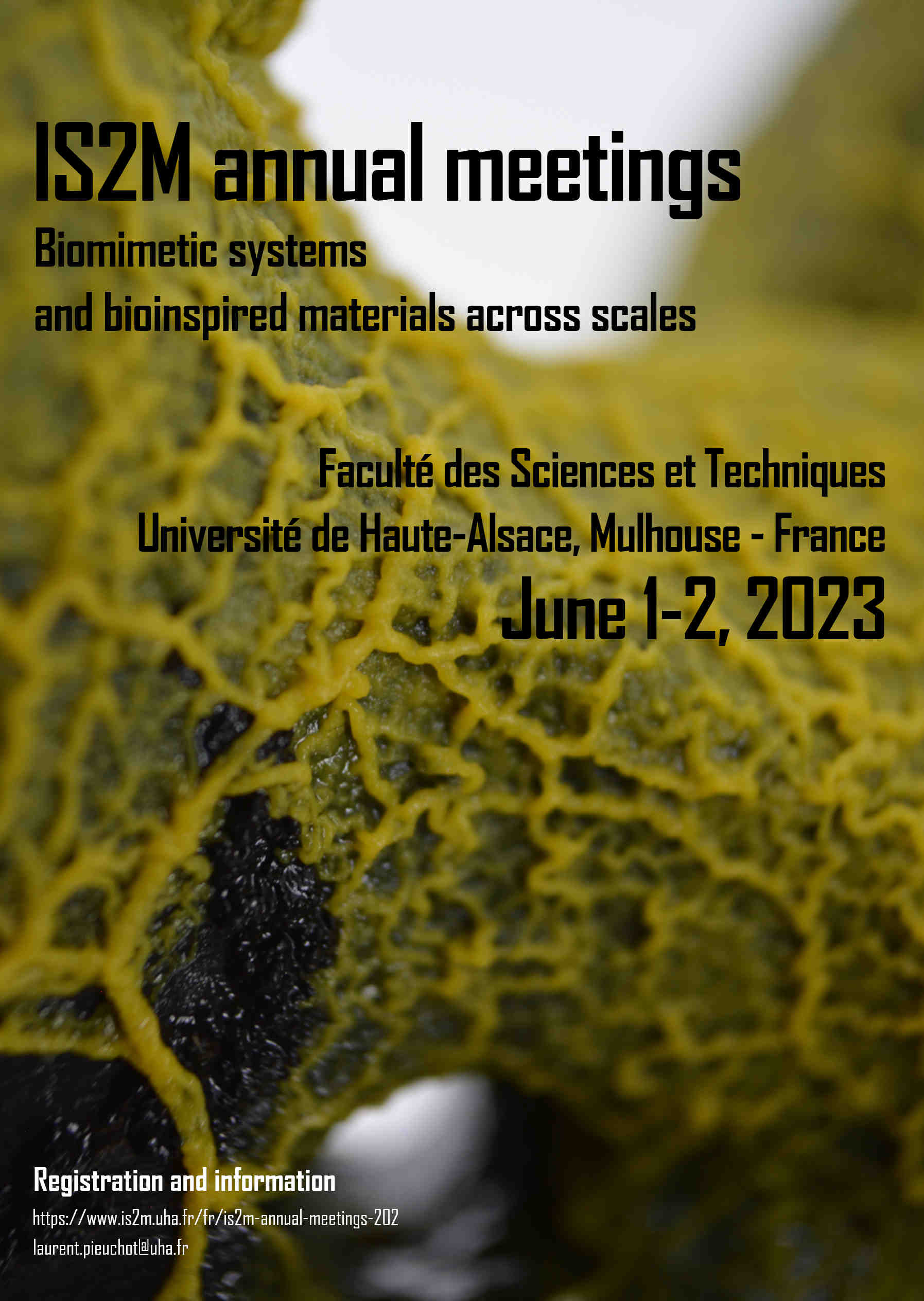 IS2M annual Meetings 2023 - IS2M