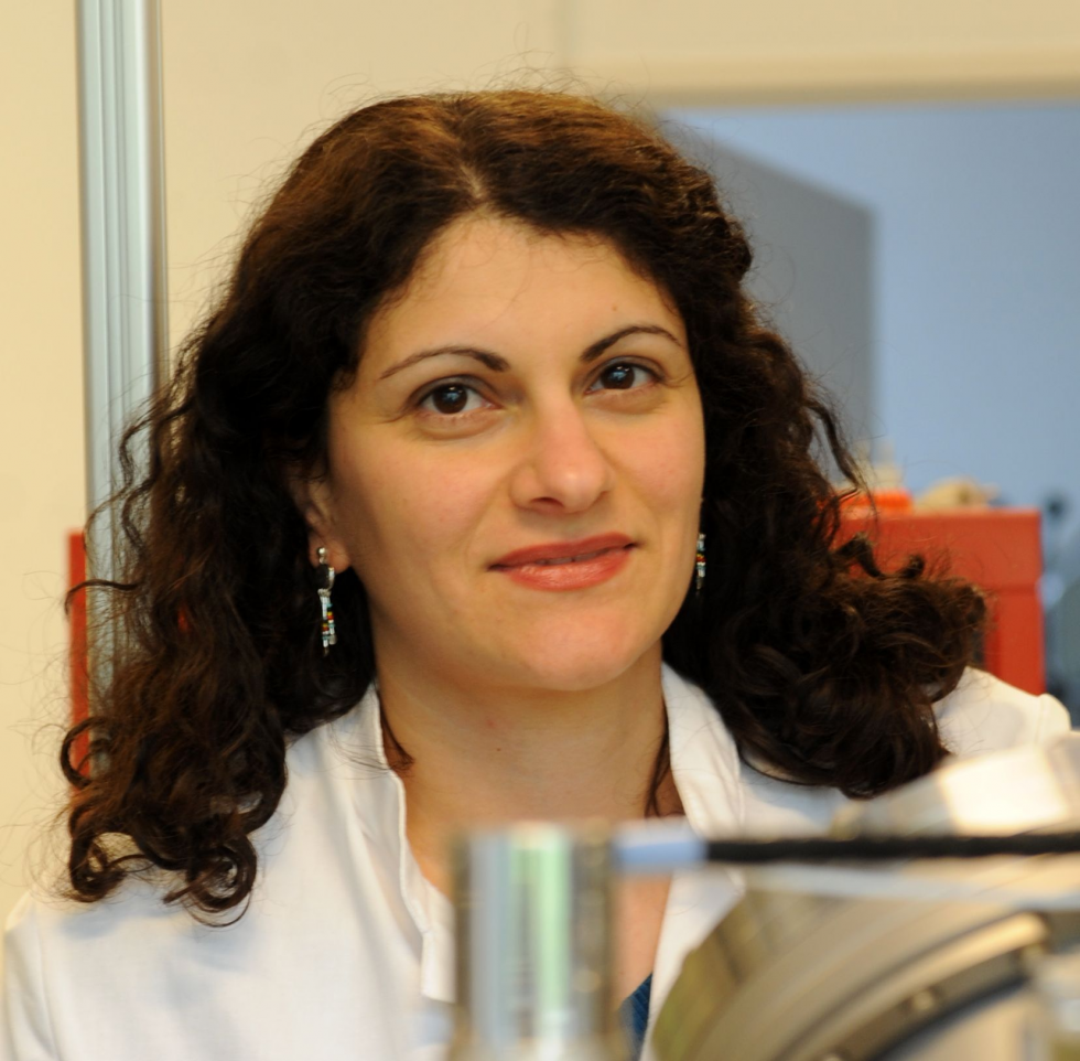 Transferts, Réactivité, Matériaux pour les procédés propres - Les ...