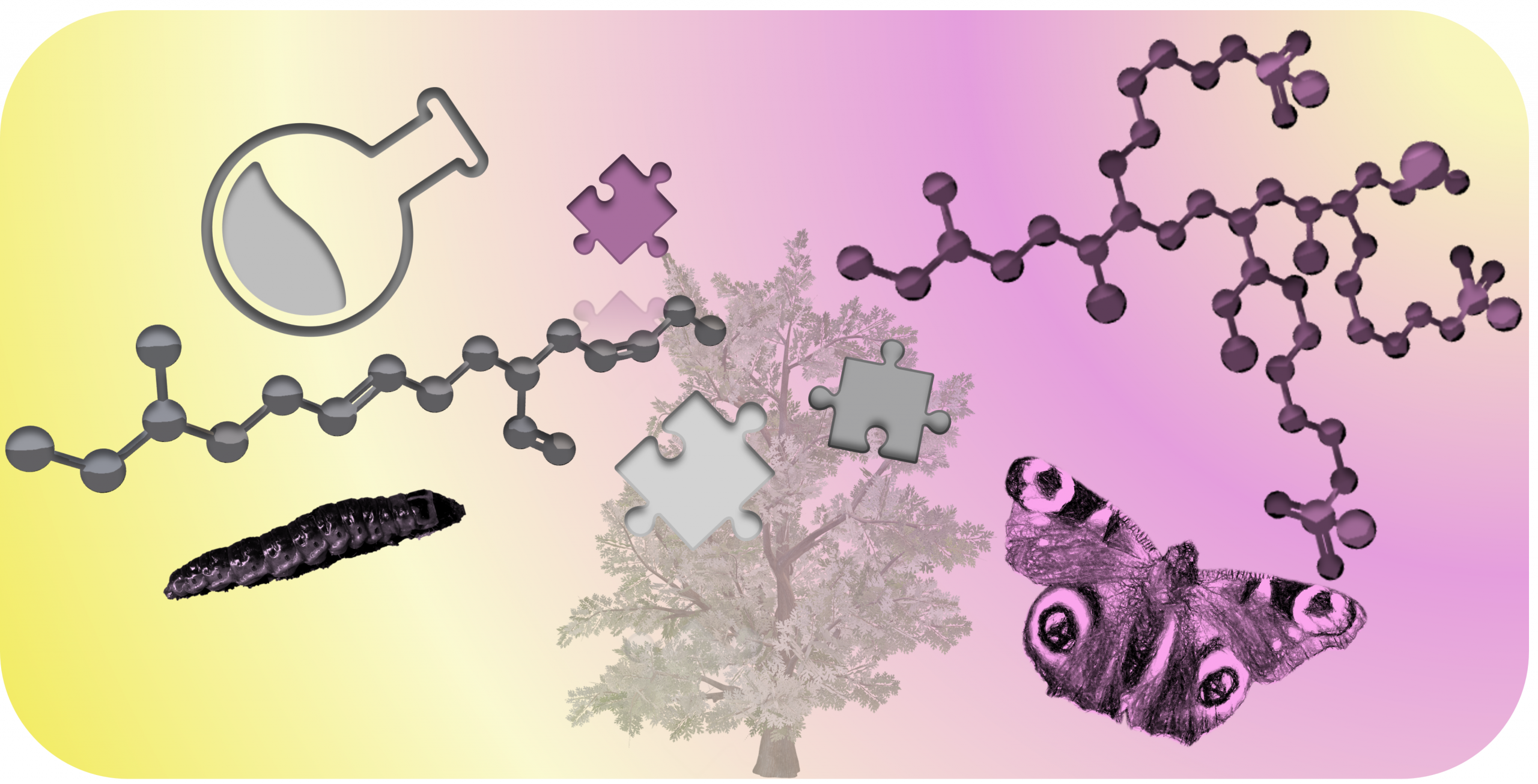 IS2M, Institut de Science des Matériaux de Mulhouse